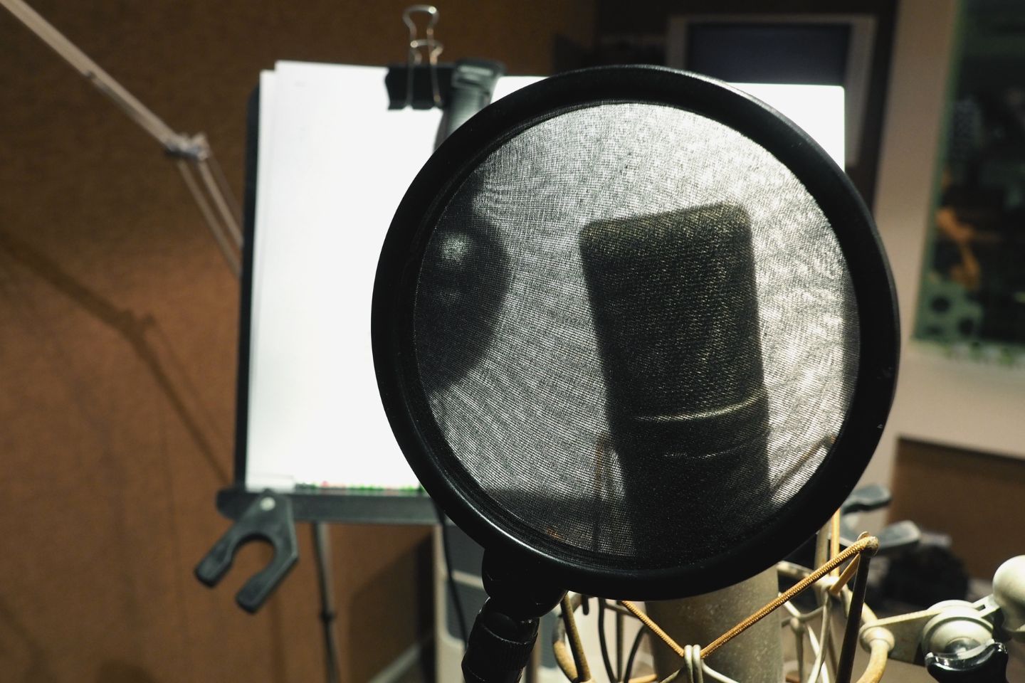 TOP 13 Melhores Pop Filter para Microfone em 2025