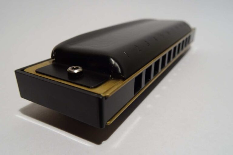 A História da Gaita: Uma Viagem Musical Através dos Tempos